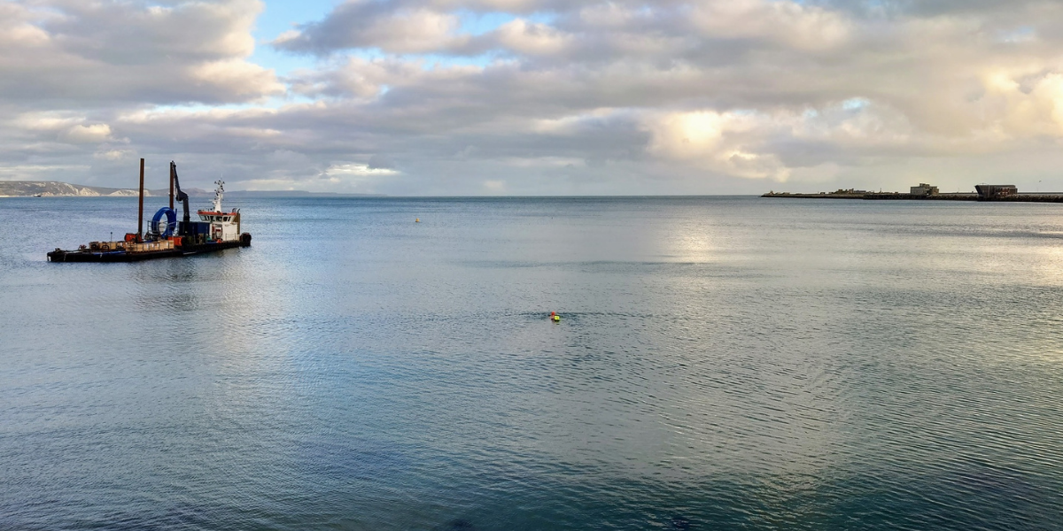 Newton's Cove - Sandy Swims