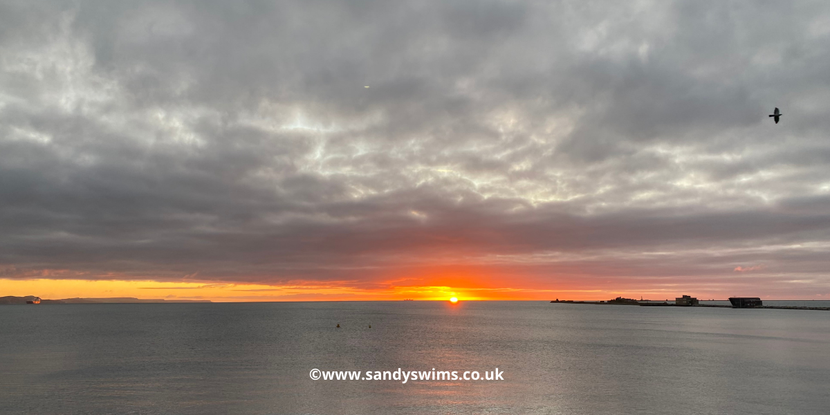 February Face - Sandy Swims